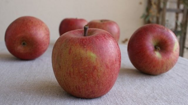 ラルス・ジュネ（Ralls Genet/Ralls Janet 和名：国光） - りりりんご